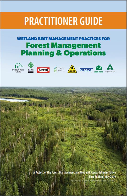 Wetland Best Management Practices for Forest Management Planning and Operations Practioner Guide ...